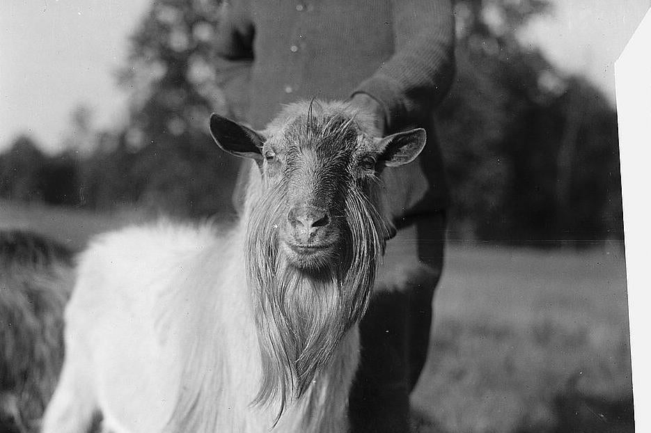 How to Be Anxious | The Minimalists