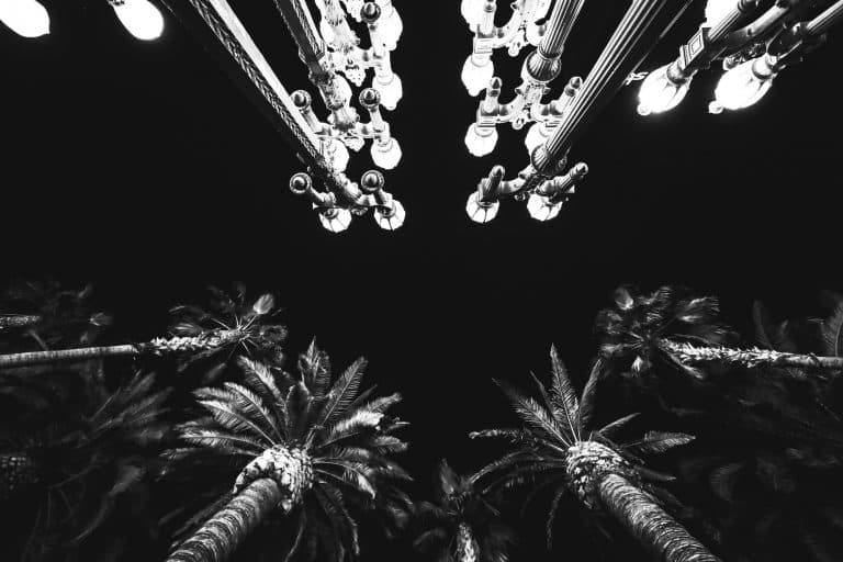 Create Your Masterpiece: A 16-Step Guide - The Minimalists